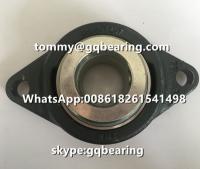 China INA RCJTZ35 Two-bolt Flange Pillow Block Ball Bearing in cast iron RCJTZ35-XL Housing Units for sale