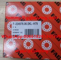 China F-234976.06 Thrust Ball Bearing Gcr15 Steel Differential Bearing for sale
