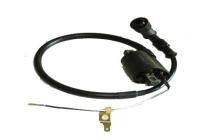China HD002 Digital Motorcycle Ignition Coil with 0.1° Timing Precision and High-Energy Spark Output for sale
