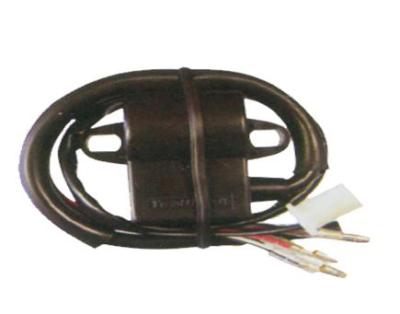 China Motorcycle Electrical Accessories Ignition Coil HD018 for sale