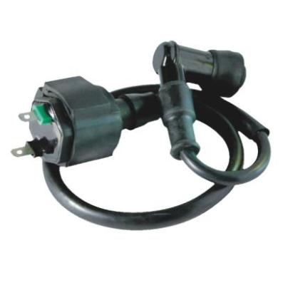China Motorcycle Electrical Accessories Ignition Coil I-012 for sale