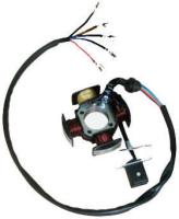China QJ125 Motorcycle Magneto Coil - Copper & Plastic Electrical Component for Honda, Suzuki, Yamaha Models for sale