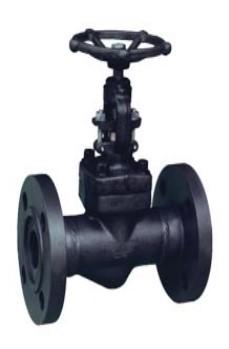 China DN20 Forged Globe Valve PN6.4 Globe Valve Flange Type WCB for sale