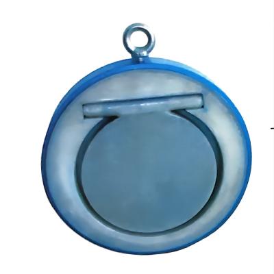 China Fluorine Lined Swing Check Valve Single Flap Check Valve Corrosion Resistance for sale