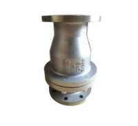 China Pn16 4 Inch Axial Flow Check Valve 10 Inch Cast Iron Axial Flow Vertical Check Valve for sale