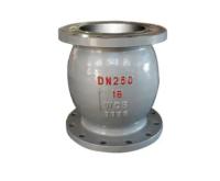 China Pn16 4 Inch Axial Flow Check Valve 10 Inch Cast Iron Axial Flow Vertical Check Valve for sale