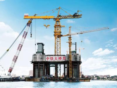 China Zoomlion 10 Tons Hammerhead Tower Crane Tc7013-10 Used Cranes for Sale in Dubai for sale