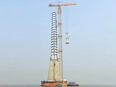 China Zoomlion Brand 8t Mobile Tower Crane with Cabin for sale
