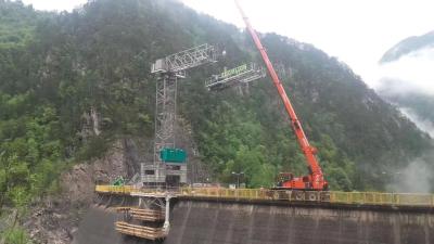 China Zoomlion 10 Ton 60 M Mini Hammerhead Tower Crane Tc7013-10 with Imported Engine for sale