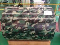 China Camouflage Printech Color Coated Coil PPGI 0.5mm*1200mm Z150 PVDF DX51D for sale