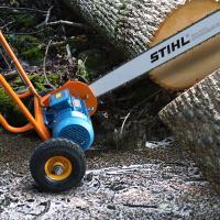 China Electric Wood Log Sawmill Portable Timber Slasher for Cutting 800-1700mm Diameter for sale