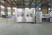 China Rotary Plastic Bottle Filling Machine 5L-10L Water Washing Filling Capping 12 Heads for sale