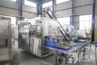 China SS304 600BPH 20L Pure Water Filling Machine With Bottle Washing Function for sale
