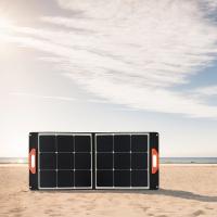 China 30W*2PCS Black Solar Panel Transforming the World with Renewable Energy for sale