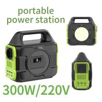 China High Frequency Power Station 300W DC to AC Pure Sine Wave Inverter with EU AC Socket for sale
