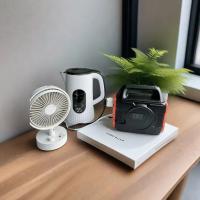 China 300W/20ah Adjustable Power Outdoor Portable Power Station for Customized Power Needs for sale