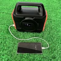 China 300W Portable Power Station AC/DC Output for Outdoor Household 110V/220V Mobile Power for sale