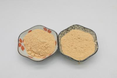 China High Nutritive Value Beef Isolate Protein Powder Excellent Performance for sale