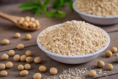 China Natural Ingredient Organic Pea Protein Powder For Muscle Strengthen for sale