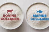 China 100% Food Grade Marine Cod Fish Collagen For Nutritive Supplements for sale