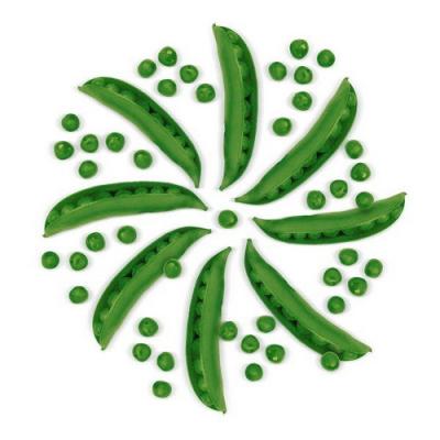China Water Soluble Natural Plant Protein Powder Plant Based Protein Powder Non GMO Pea Extract for sale