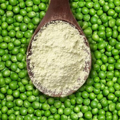 China Hypo Allergenic Organic Vegan Protein Powder High Absorption Gluten Free For Baby Food for sale