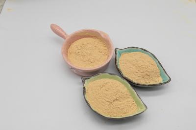 China Odorless Bone Grass Fed Hydrolyzed Beef Protein Isolate For Medicine for sale