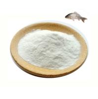 China Anti Aging Halal SGS Hydrolyzed Fish Collagen Powder  Peptides for sale