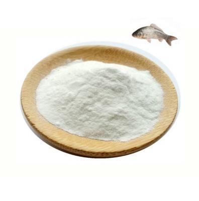 China Anti Aging Halal SGS Hydrolyzed Fish Collagen Powder  Peptides for sale