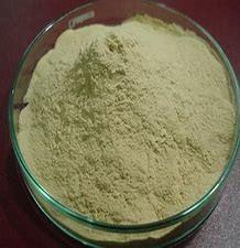 China Powdery Organic Hydrolyzed Rice Protein 500 Mesh Particle for sale