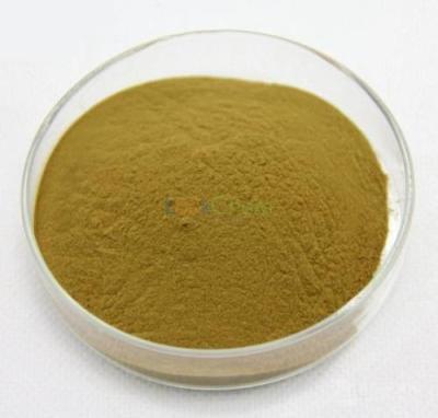 China Pea Hydrolyzed Vegetable Protein Powder GMO Free For Food Beverage for sale