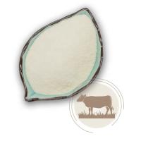 China Odorless 95 Percent Protein Pure Organic Bovine Collagen Powder for sale