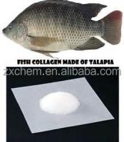China High Absorption Edible Marine Hydrolyzed Fish Collagen Peptides for sale
