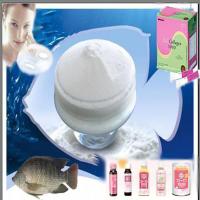 China Anti Aging Edible Hydrolyzed Marine Collagen Powder for sale