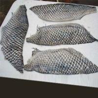 China Nature Pure Marine Hydrolyzed Fish Collagen Peptides Powder for sale