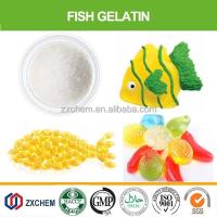 China CAS 9000-70-8 Fish Skin Scale Edible Fish Gelatin Powder for sale