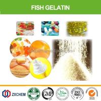 China CAS 9000-70-8 Fish Skin Scale Edible Fish Gelatin Powder for sale
