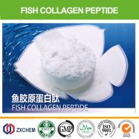 China HALAL Low Molecular Bovine Hydrolyzed Collagen Powder for sale