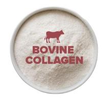 China Energy Bar Fresh Hydrolyzed Beef Collagen Protein Powder for sale