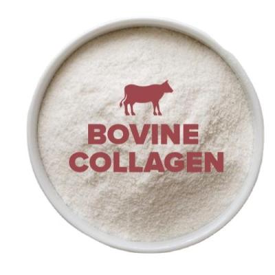 China Energy Bar Fresh Hydrolyzed Beef Collagen Protein Powder for sale