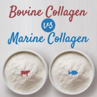 China HALAL Strengthens hair Hydrolyzed Collagen Powder peptides for sale