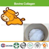 China HALAL Strengthens hair Hydrolyzed Collagen Powder peptides for sale