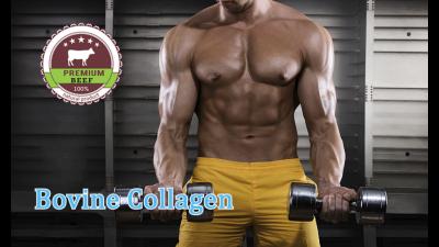 China Macromolecular  Fresh Hydrolysed Bovine Collagen Powder for sale