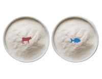 China Macromolecular  Fresh Hydrolysed Bovine Collagen Powder for sale