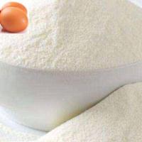 China GMP Food Additives Seasoning Organic Egg Albumin Protein Powder for sale