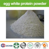 China GMP Food Additives Seasoning Organic Egg Albumin Protein Powder for sale