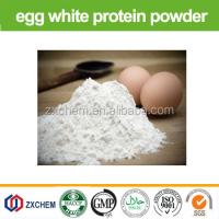 China GMP Food Additives Seasoning Organic Egg Albumin Protein Powder for sale