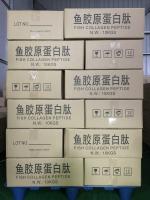 China HACCP Hydrolyzed High Absorption Pure Fish Instant Collagen Peptide for sale