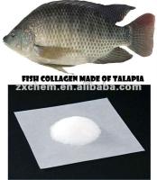 China C102H151O39N31 300D HALAL Pure Marine  Fish Collagen Peptide for sale