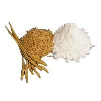 China Nutrition Enhancers  CAS 8002-80-0 Organic Dry Vital Wheat Gluten Ingredients for sale